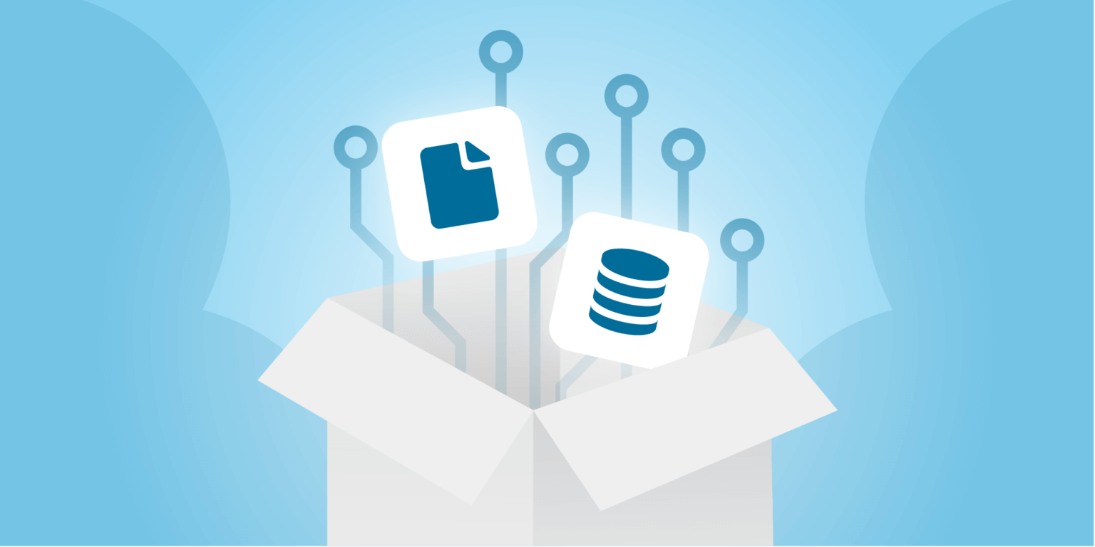 Understanding Salesforce Data And File Storage Drive Connect